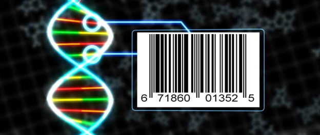 Plant DNA barcoding in the genomics era | Know Our Plants