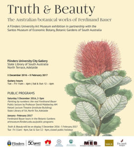 The art of Ferdinand Bauer | Know Our Plants