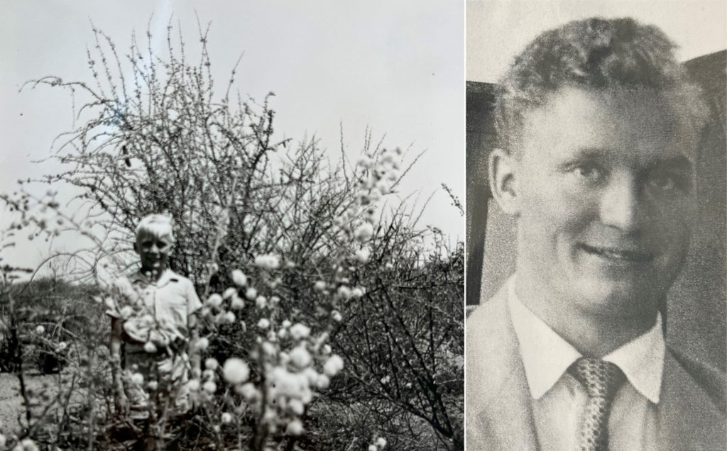 Know Our Plants | …for friends of the State Herbarium of South Australia